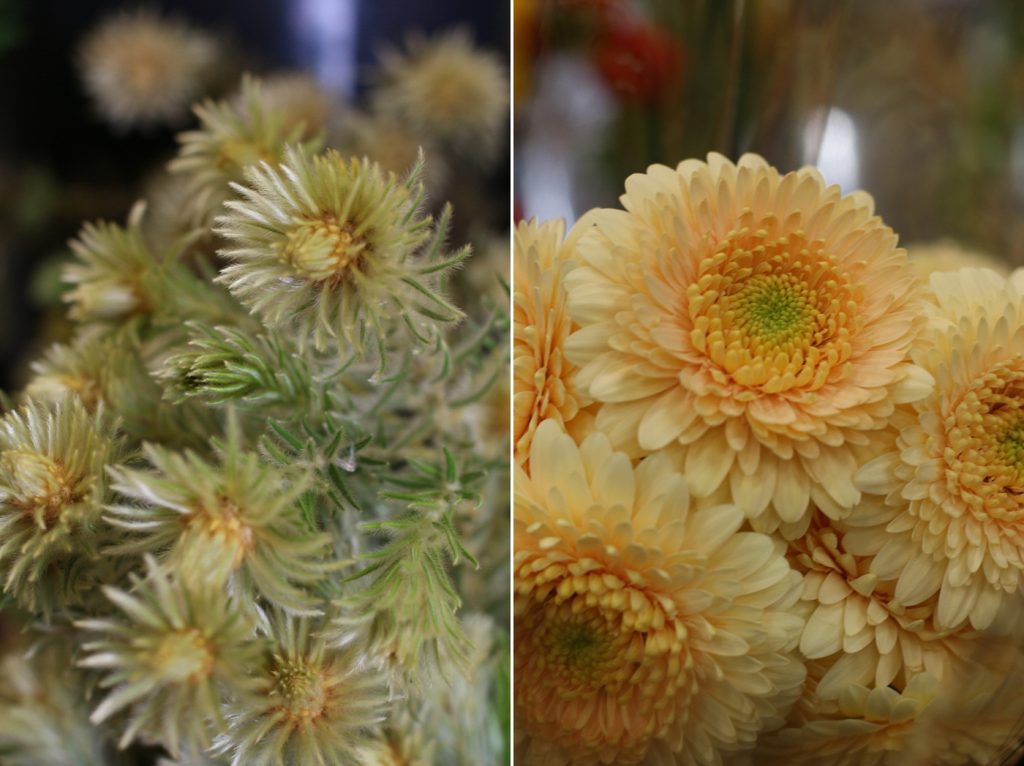 CREATING COMMUNITY WITH FLOWER FARMERS - Holly Yee Florals: Seattle ...